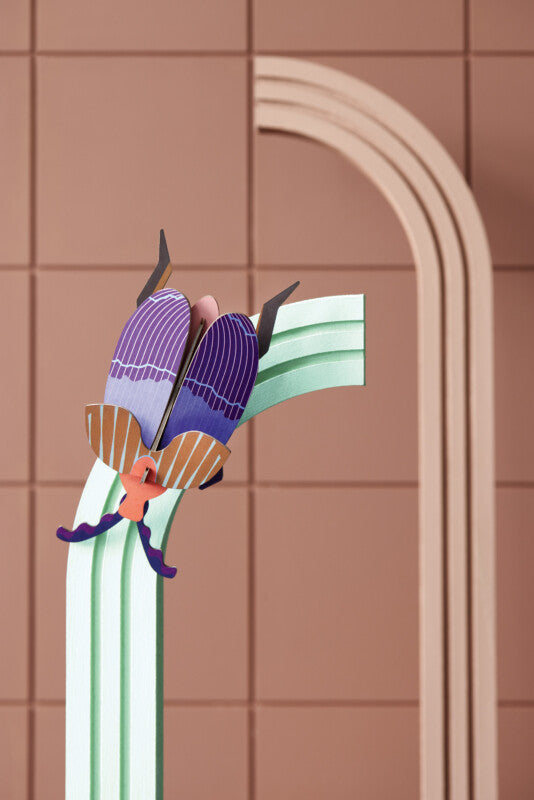 All Kids – Little Fish Co.